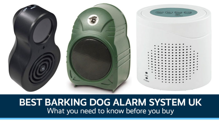 Best Barking Dog Alarm System UK - Internet Eyes